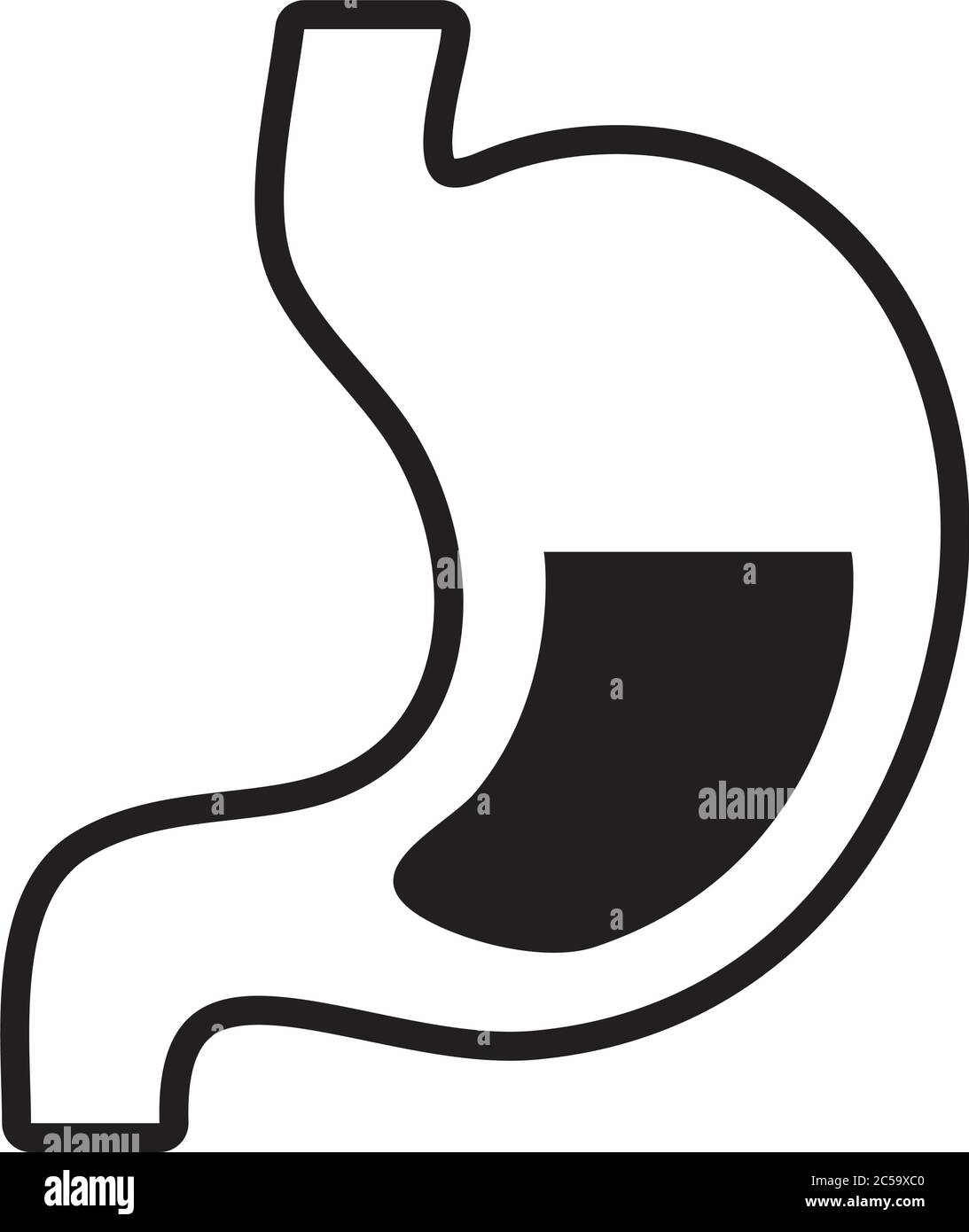stomach organ icon over white background, line style, vector ...