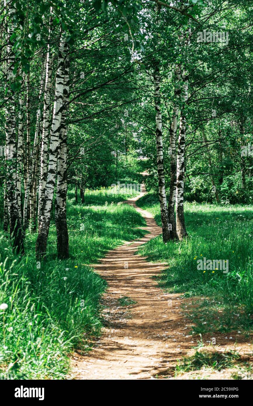 Long winding trail in the summer park Stock Photo - Alamy