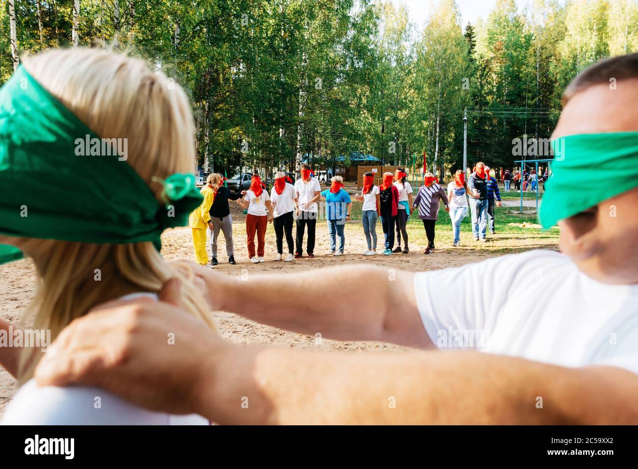 Team building teams holding hands in the forest in summer Stock Photo ...