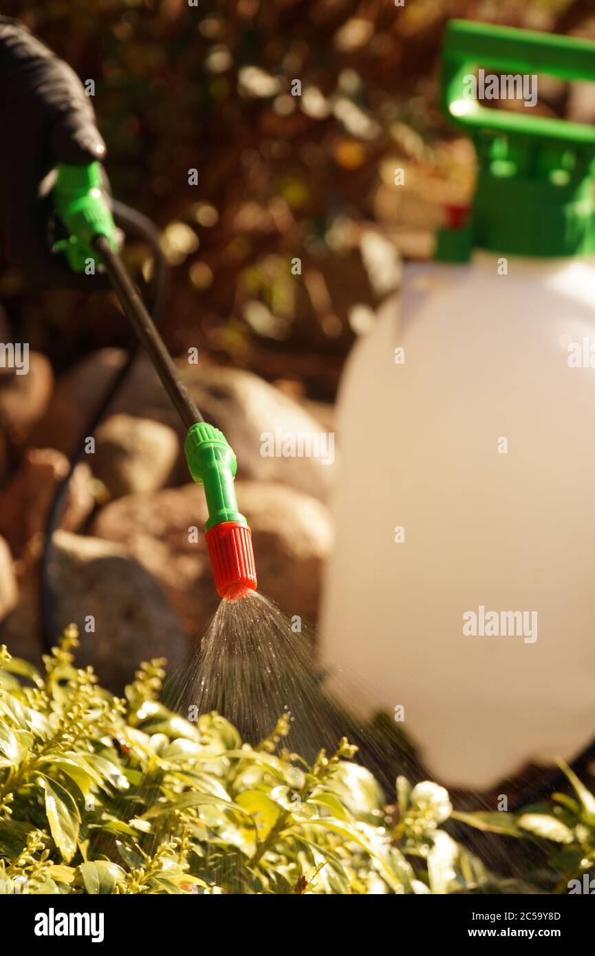 Spraying plant protection products hand hi-res stock photography and ...