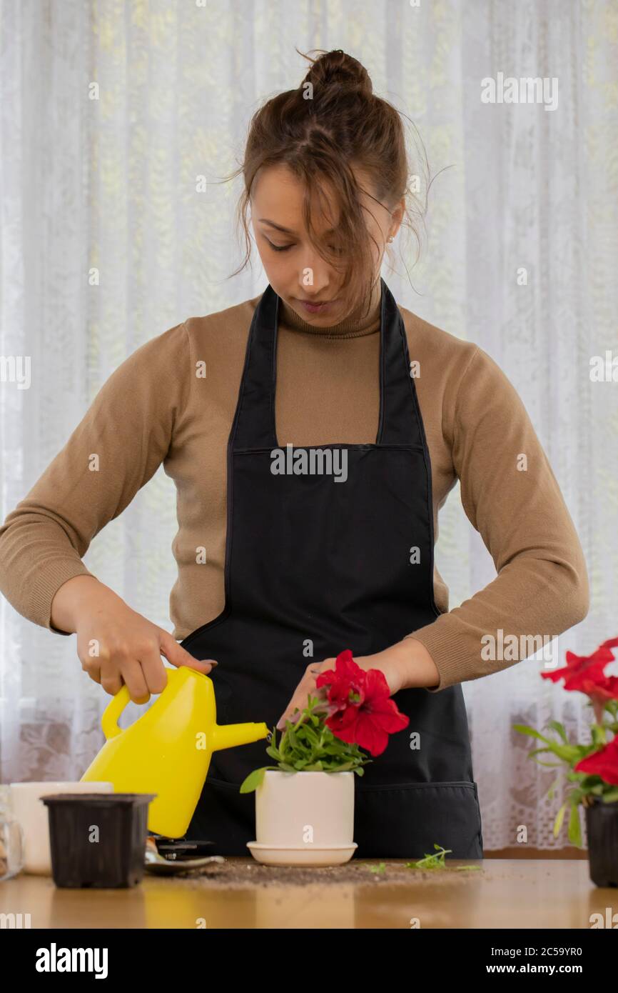 Attractive positive joyful girl watering petunia flower with can after ...
