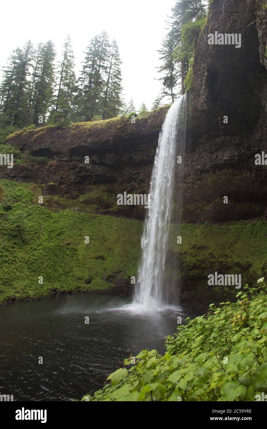 South Falls in Silver Falls State Park in Oregon, USA Stock Photo - Alamy