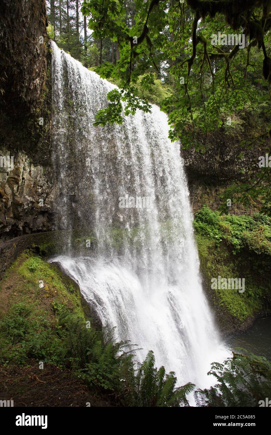 Lower South Falls at Silver Falls State Park in Oregon, USA Stock Photo ...