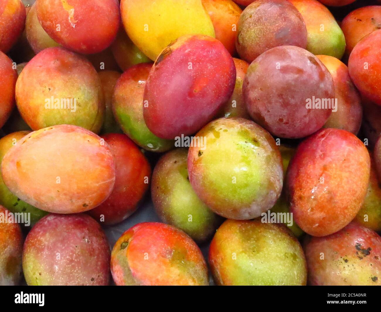 Closeup of fresh mangoes under the lights - perfect for food concepts ...