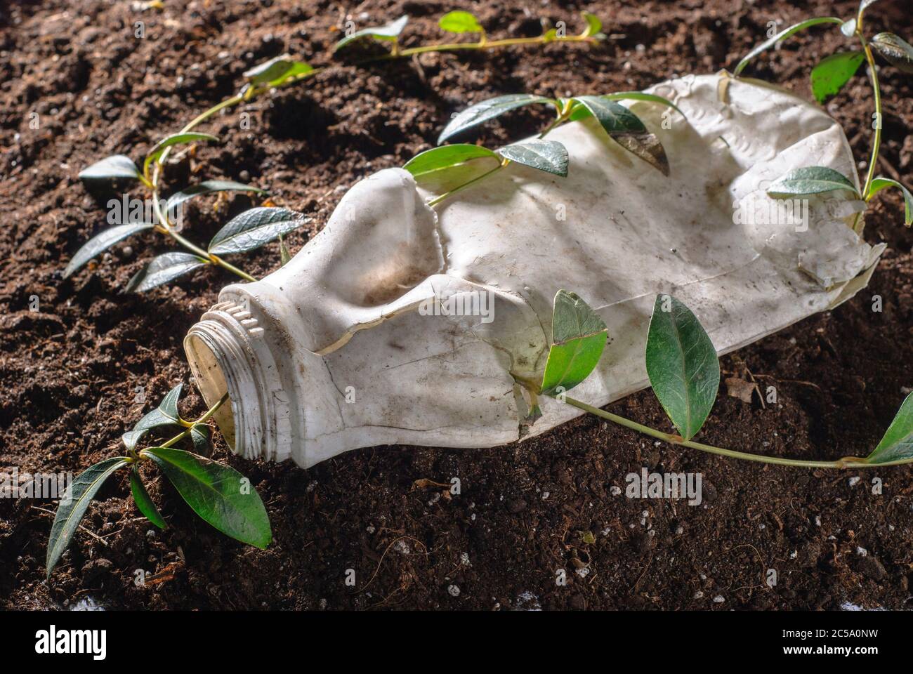 The problem of mankind is environmental pollution with plastic. An ...