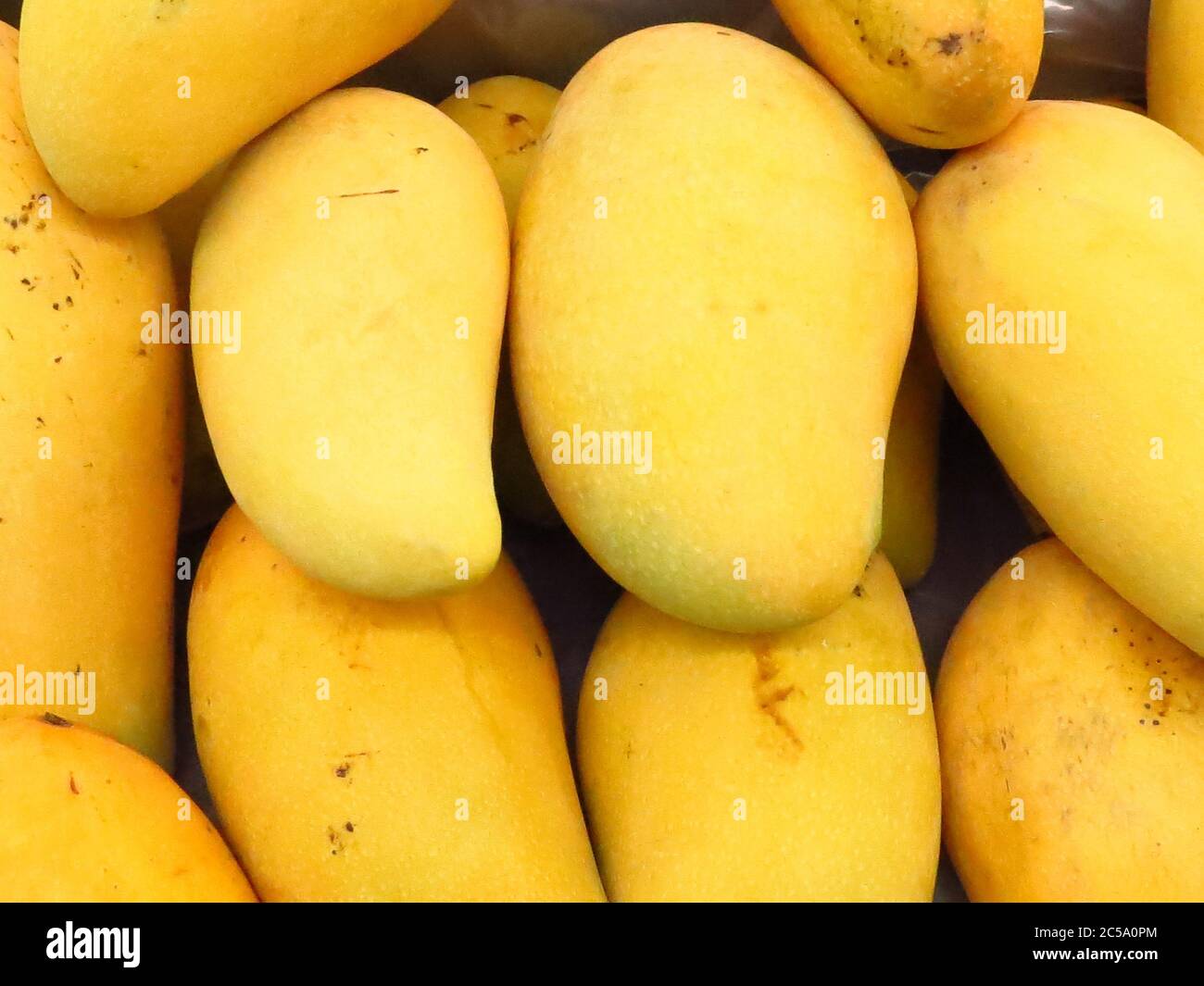 Closeup of fresh mangoes under the lights - perfect for food concepts ...