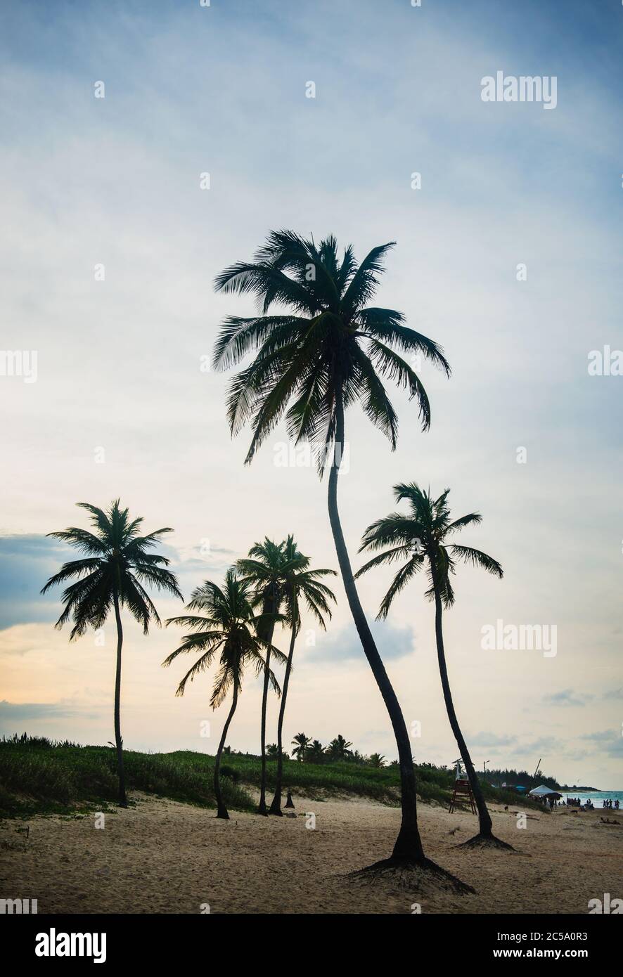 Santa María del Mar beach, Cuba, Central America Stock Photo - Alamy