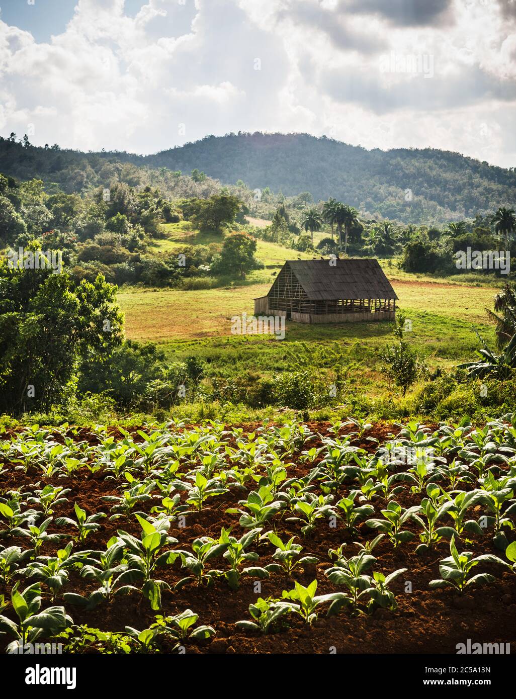 Old tobacco farm hi-res stock photography and images - Alamy