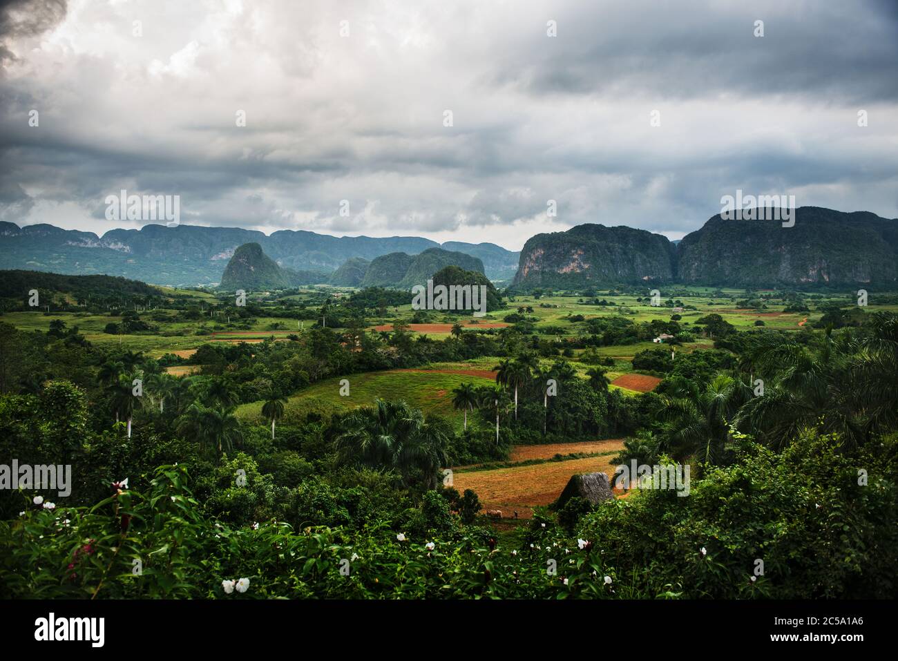 Vinales valley cuba hi-res stock photography and images - Alamy