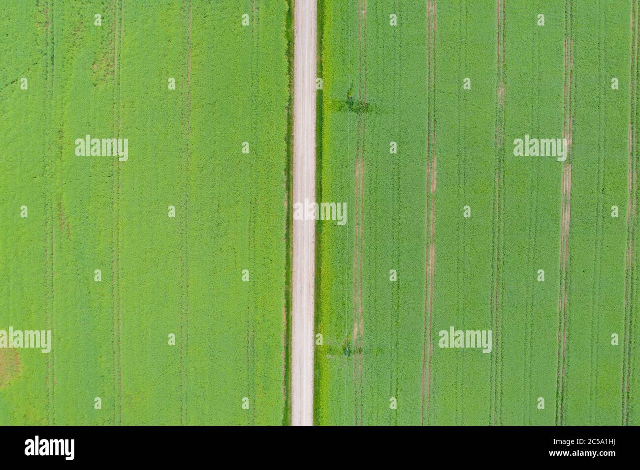 Aerial top down view of gravel dirt road between green field Stock ...