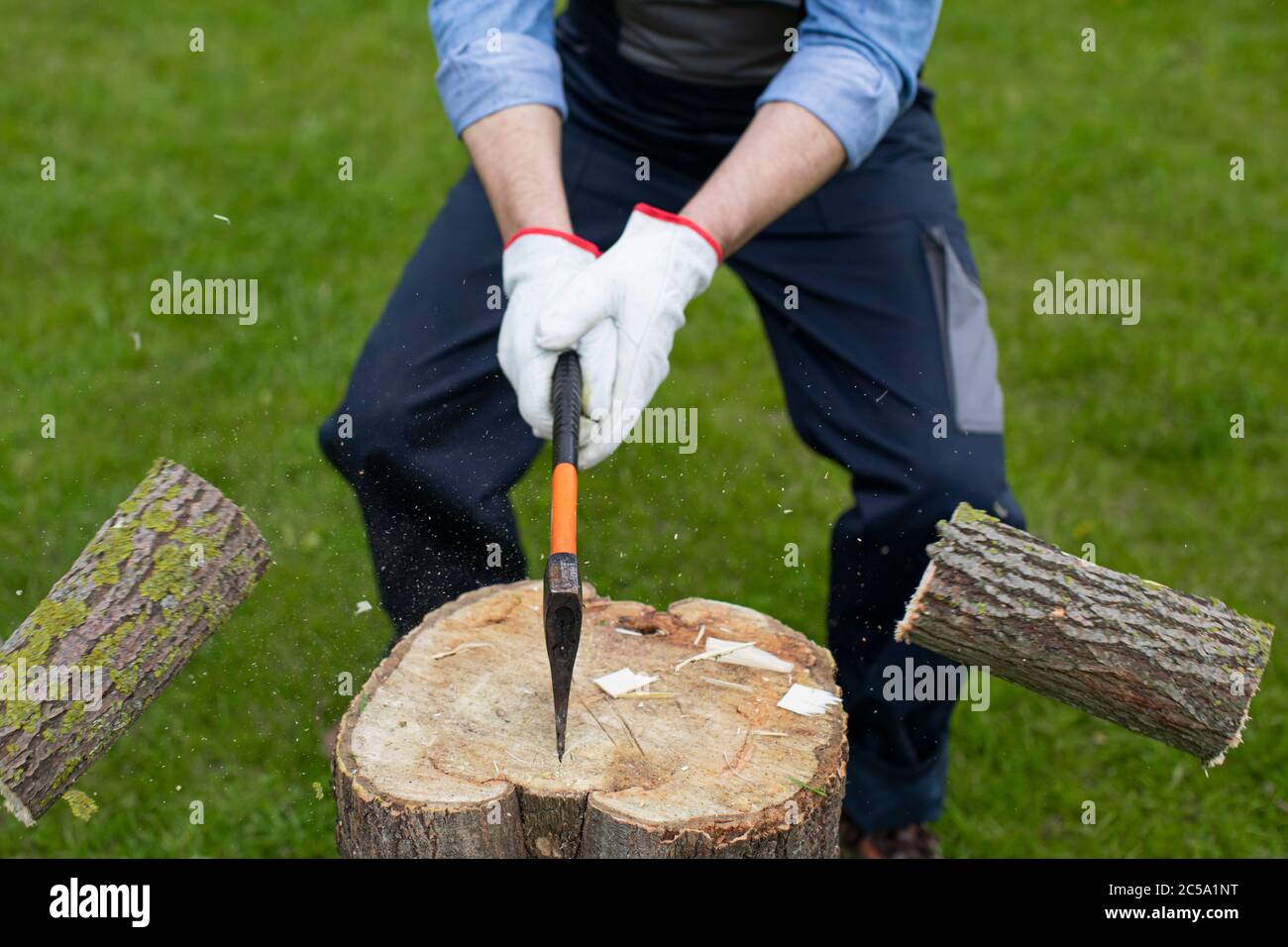 firewood spreads after being hit with axe on chump on green lawn Stock ...