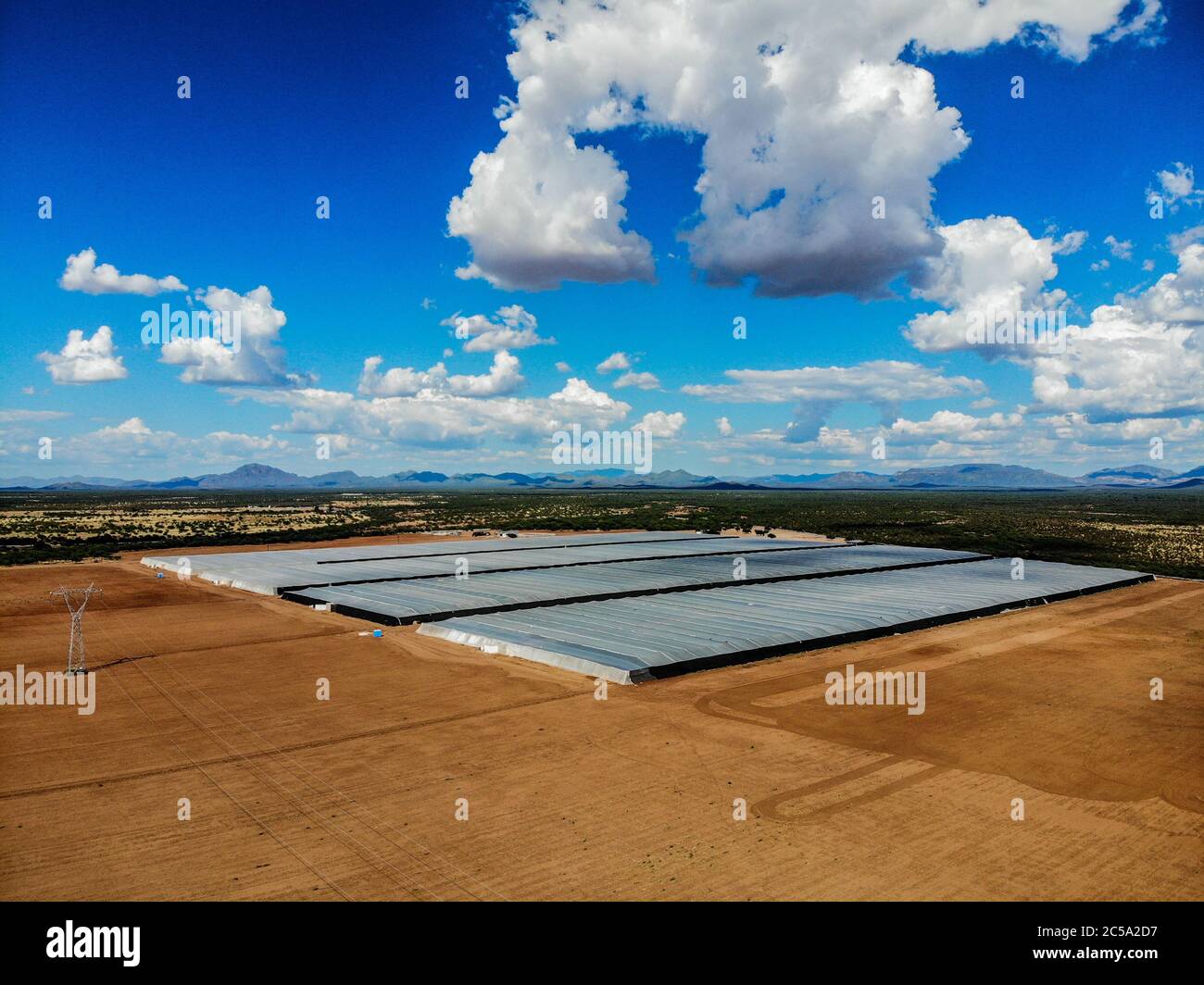 Aerial view of nursery, field of cultivation, field of land in the ...