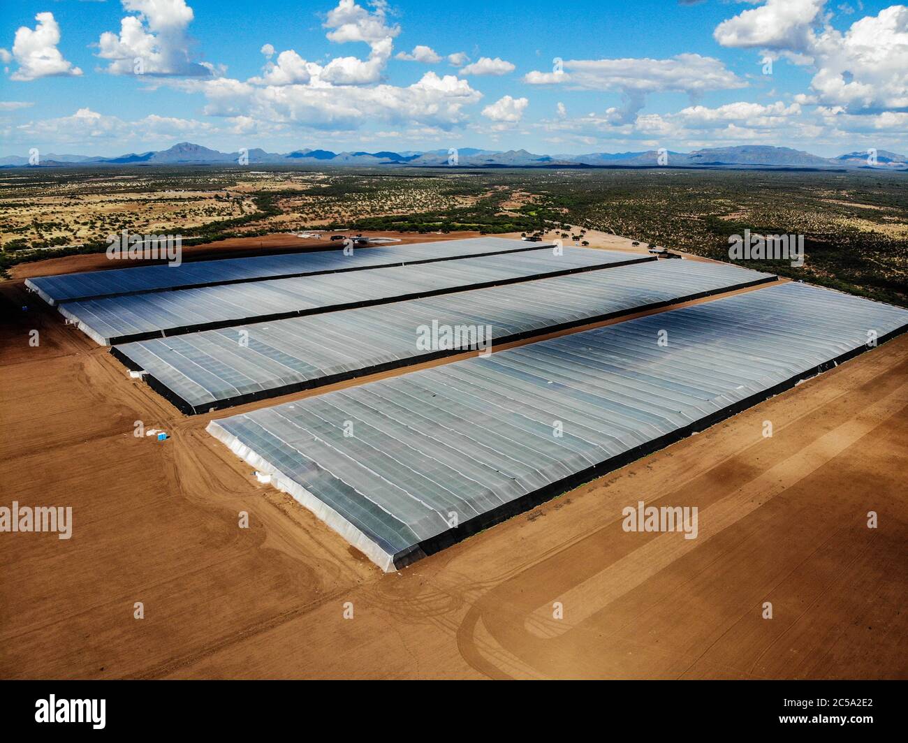 Aerial view of nursery, field of cultivation, field of land in the ...