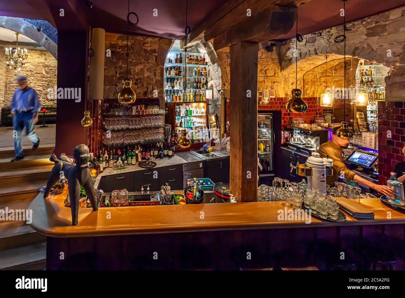 Poodle bar of Hotel Renthof, Kassel, Germany Stock Photo - Alamy