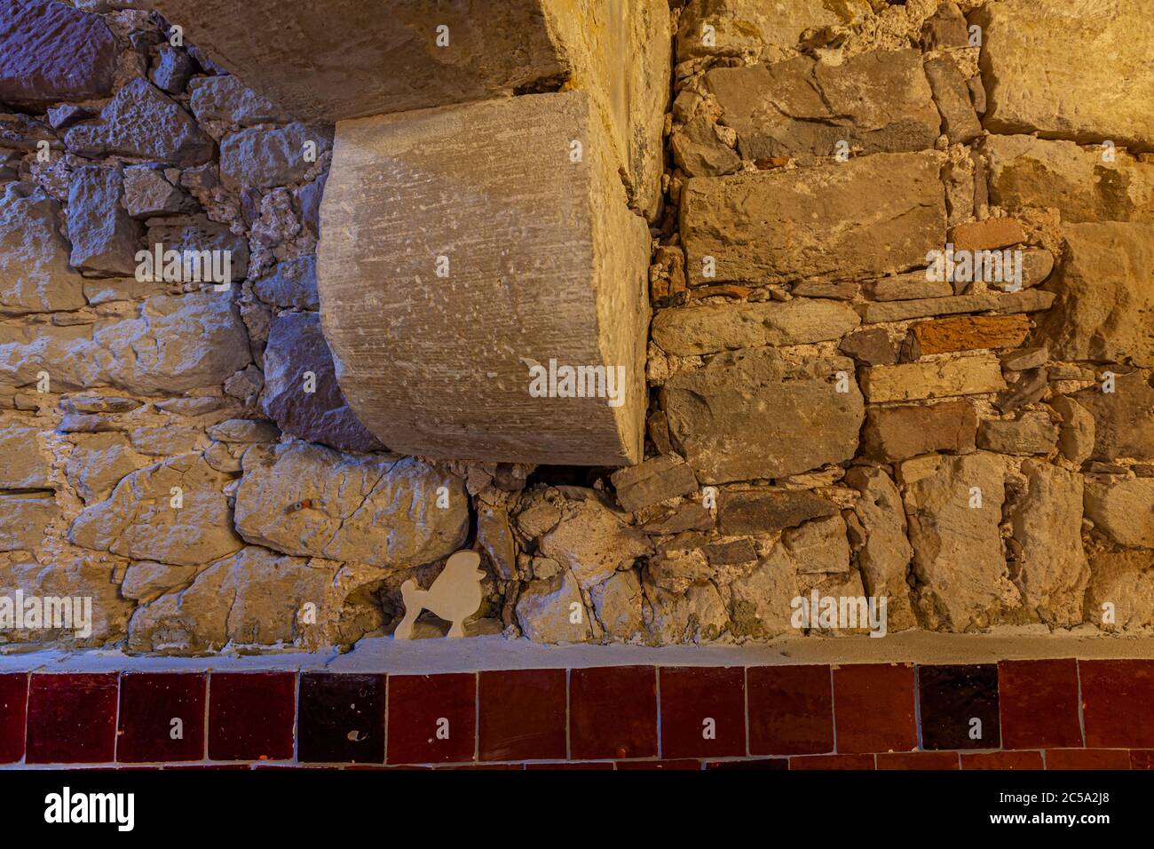 Poodle bar of Hotel Renthof, Kassel, Germany Stock Photo - Alamy