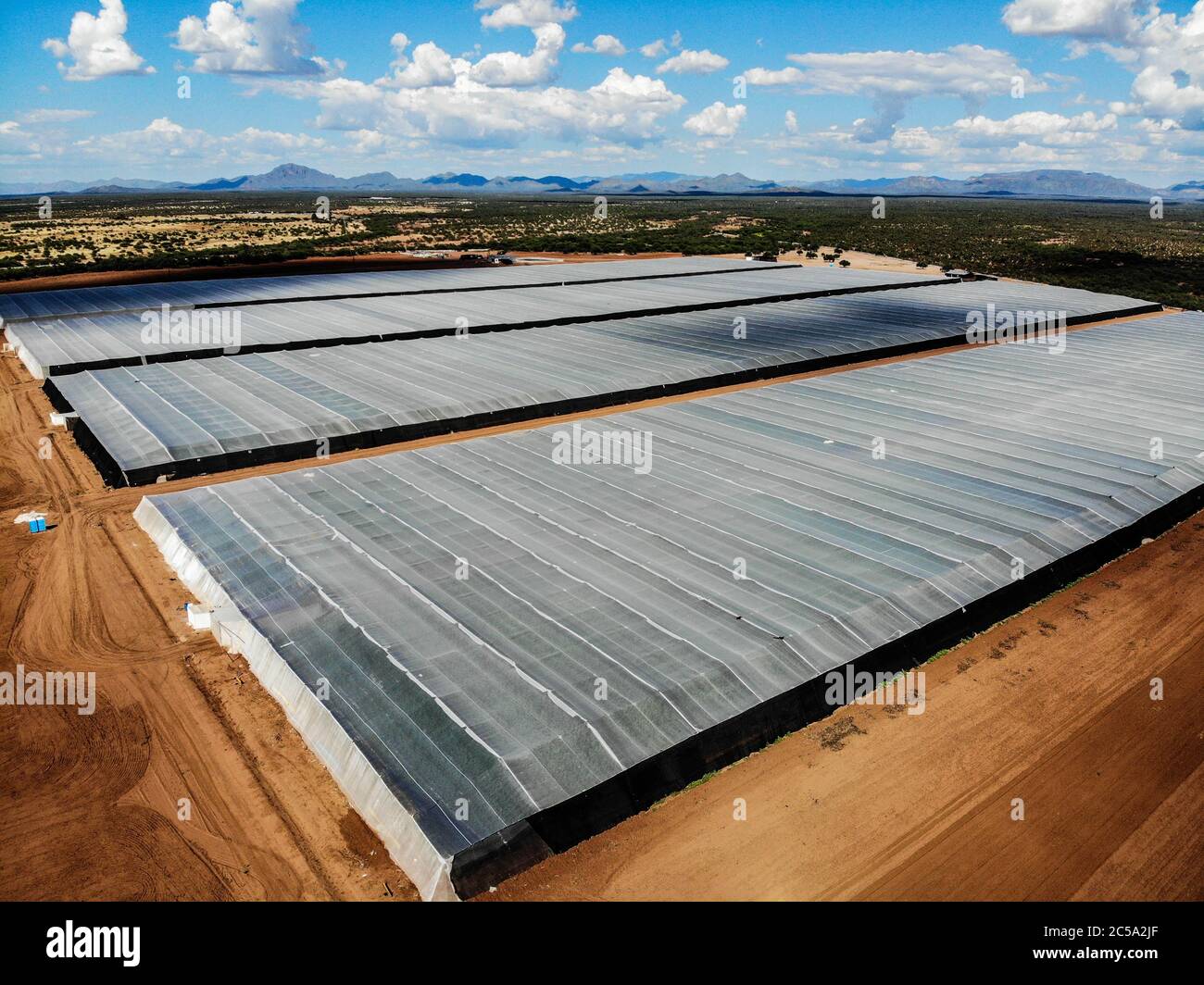 Aerial view of nursery, field of cultivation, field of land in the ...