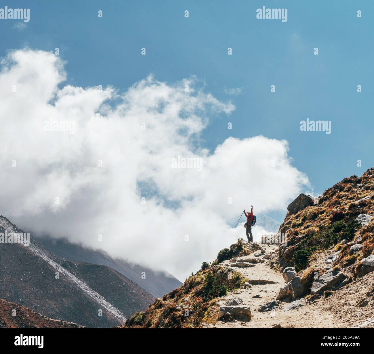 Young hiker backpacker female taking brake in hike walking during high ...