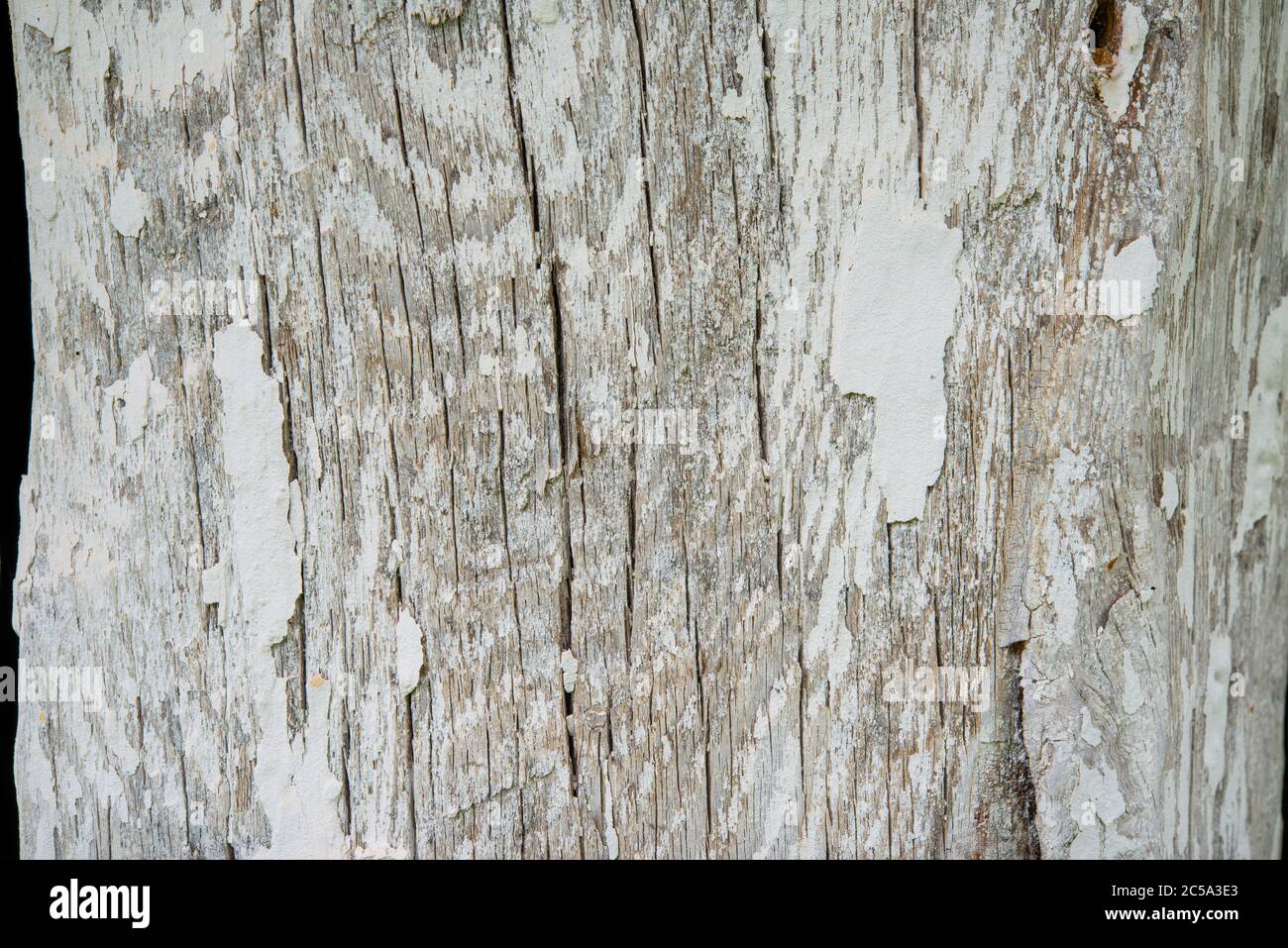 wooden board in various shapes for doors and furniture Stock Photo - Alamy
