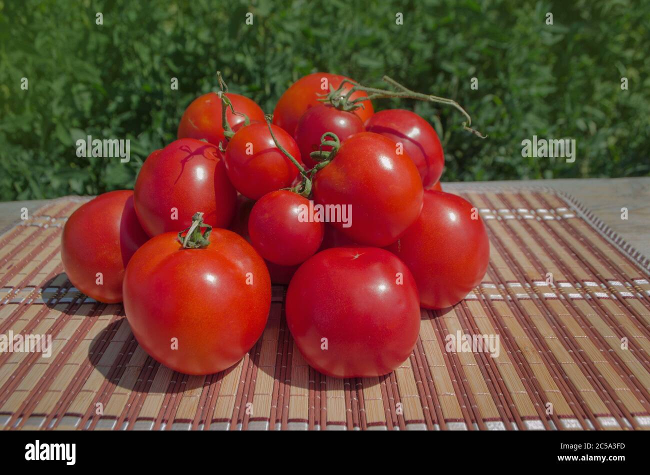 Fresh tomatoes on rustic wooden background. Tomatoes on wooden table ...