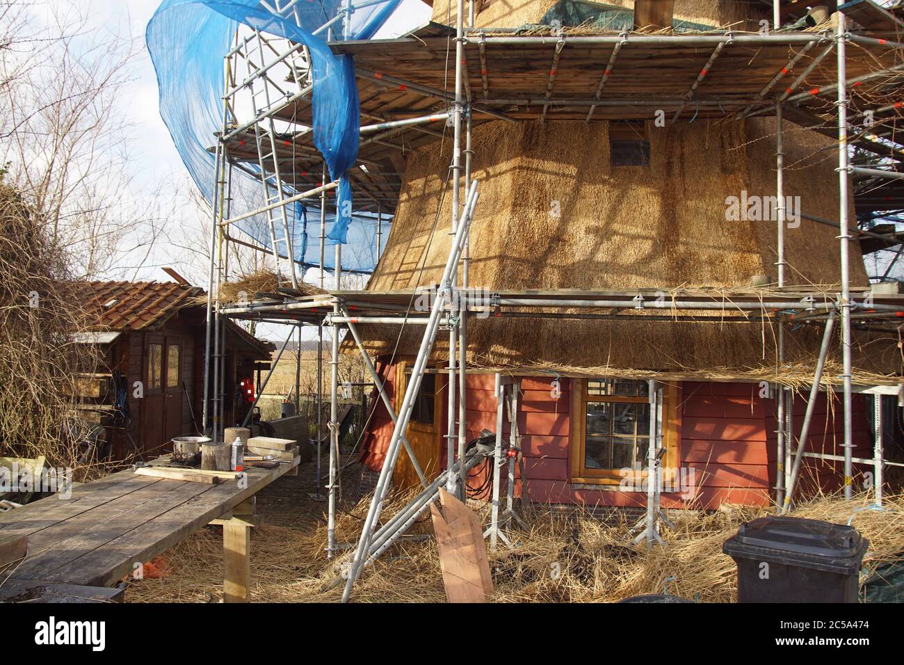 Old thatched windmill in the Netherlands. Being restored. Without hood ...