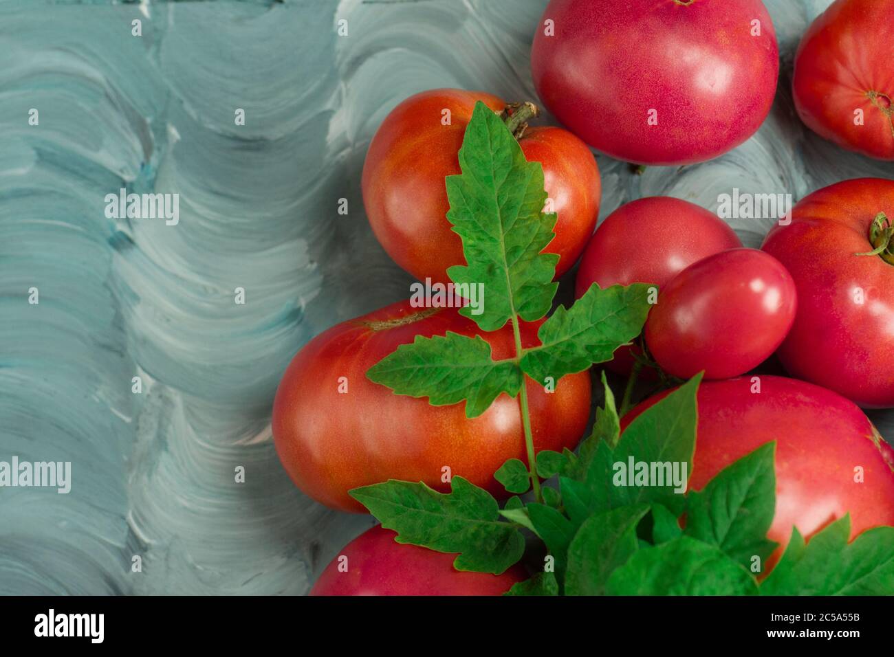 Tomato varieties have name Dwarf Firebird sweet. Fresh ripe pink beef ...