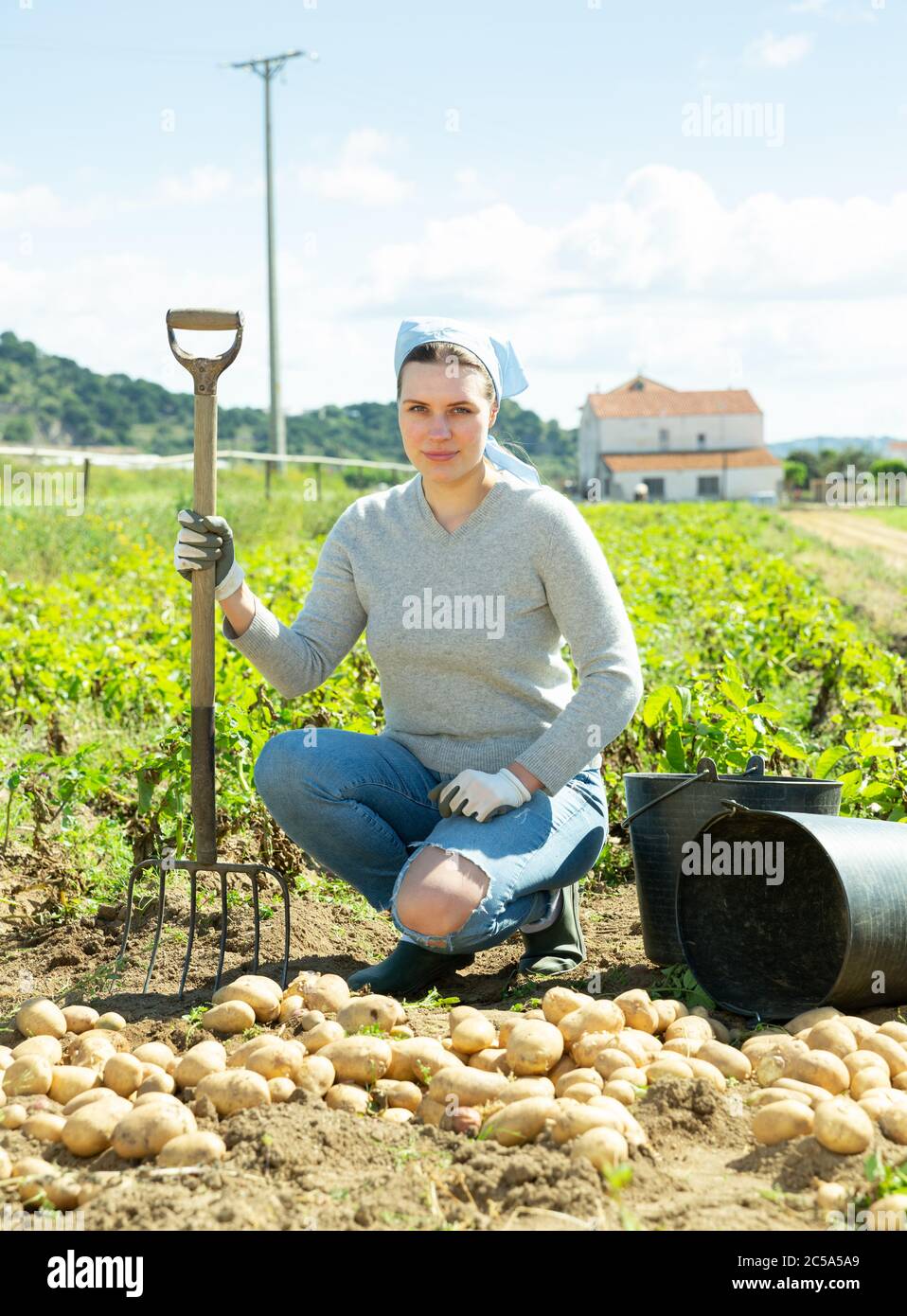 Young woman gardener during working with potatoes bushes in garden ...