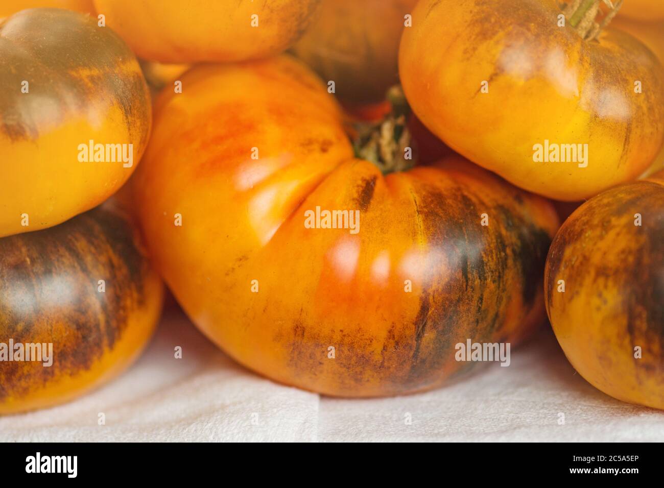 Fresh ripe delicious brown yellow tomatoes. Background from freshly ...