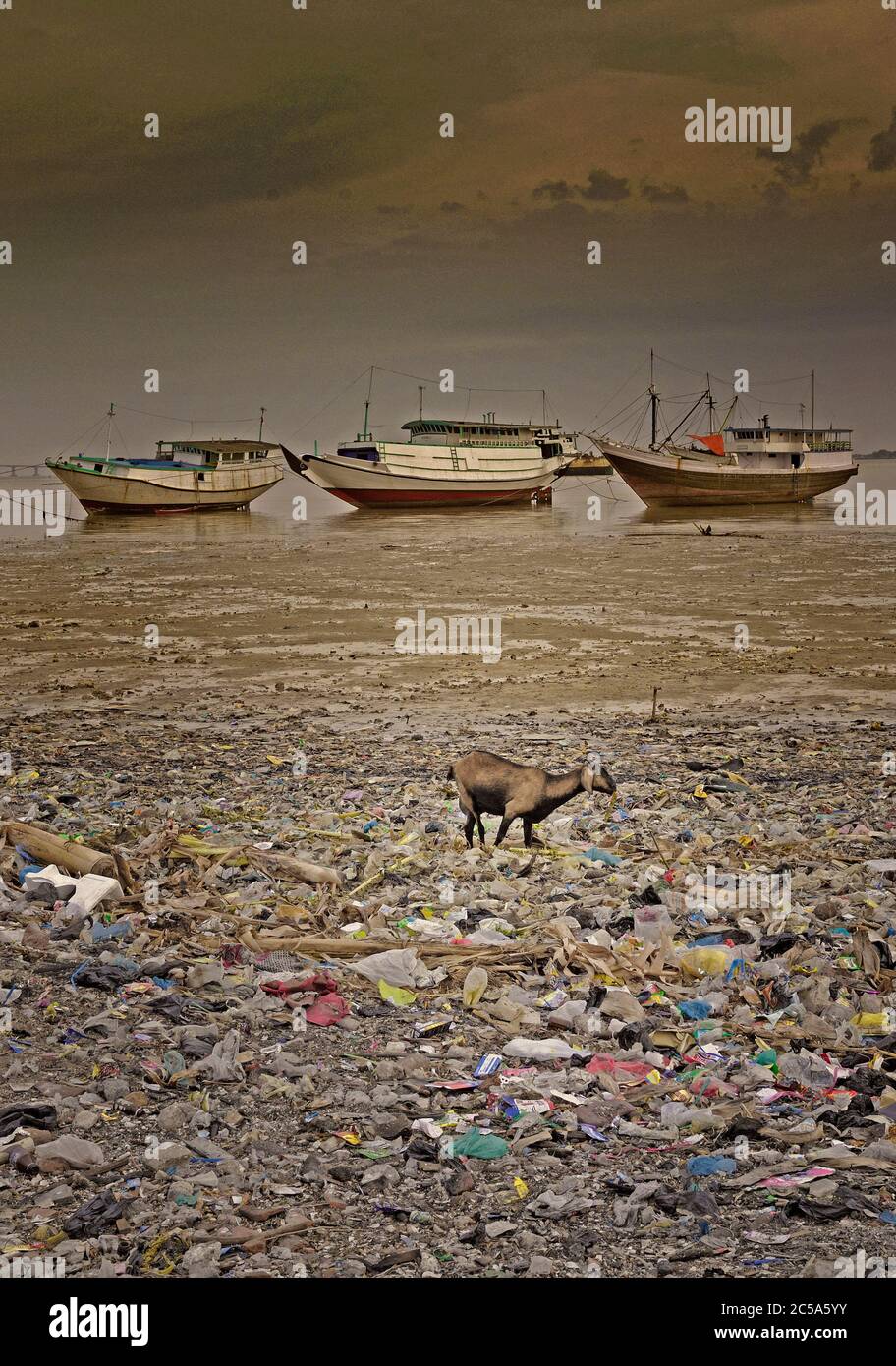 Goat garbage boat hi-res stock photography and images - Alamy