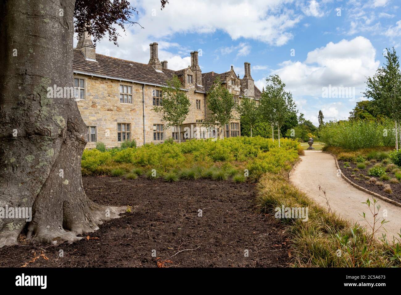 Magnolia wakehurst hi-res stock photography and images - Alamy