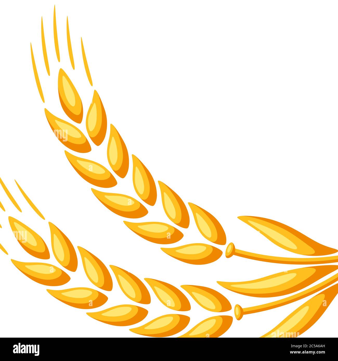 Background with wheat Stock Vector Image & Art - Alamy