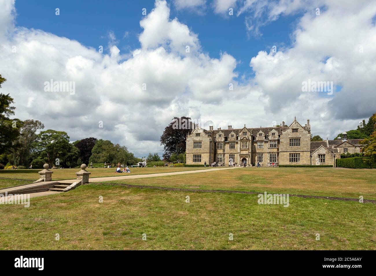 Magnolia wakehurst hi-res stock photography and images - Alamy