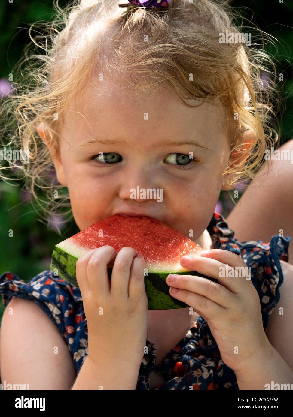Cute little kid eating watermelon hi-res stock photography and images ...
