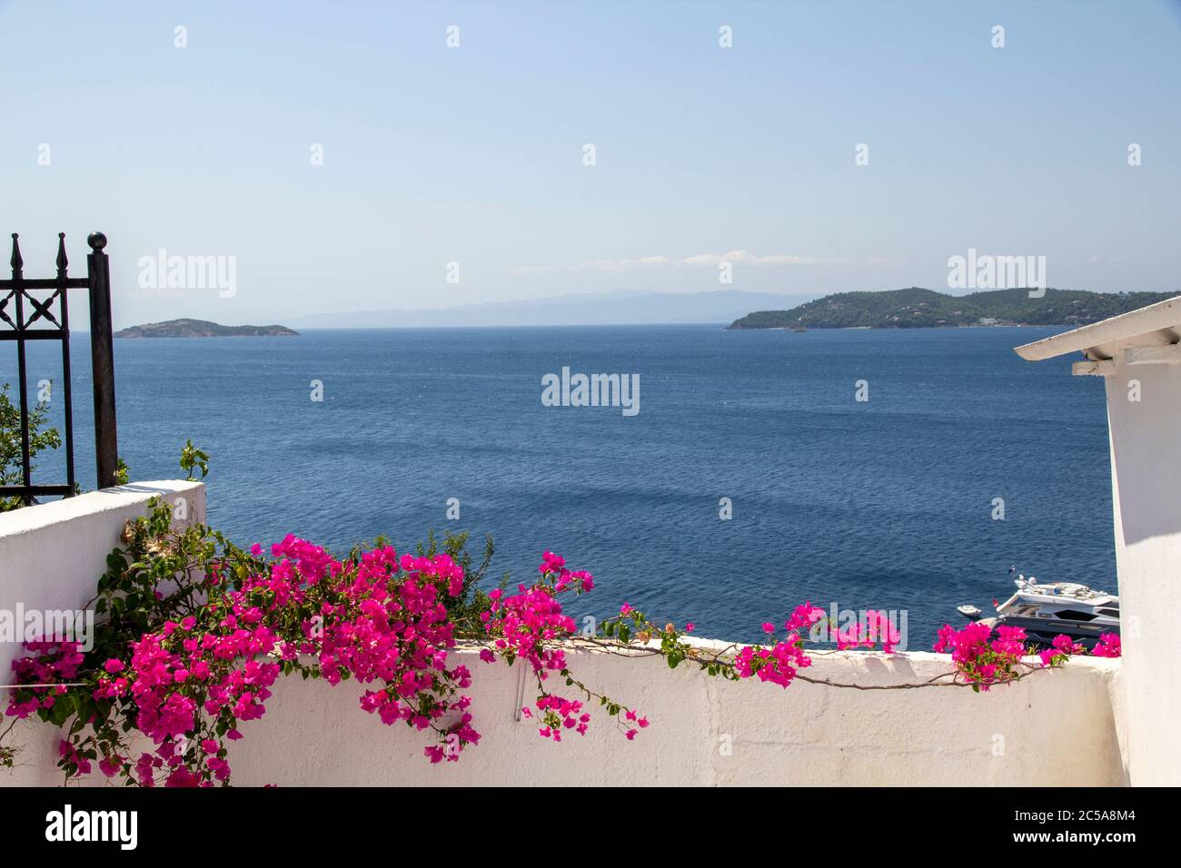 Skiathos flower hi-res stock photography and images - Alamy