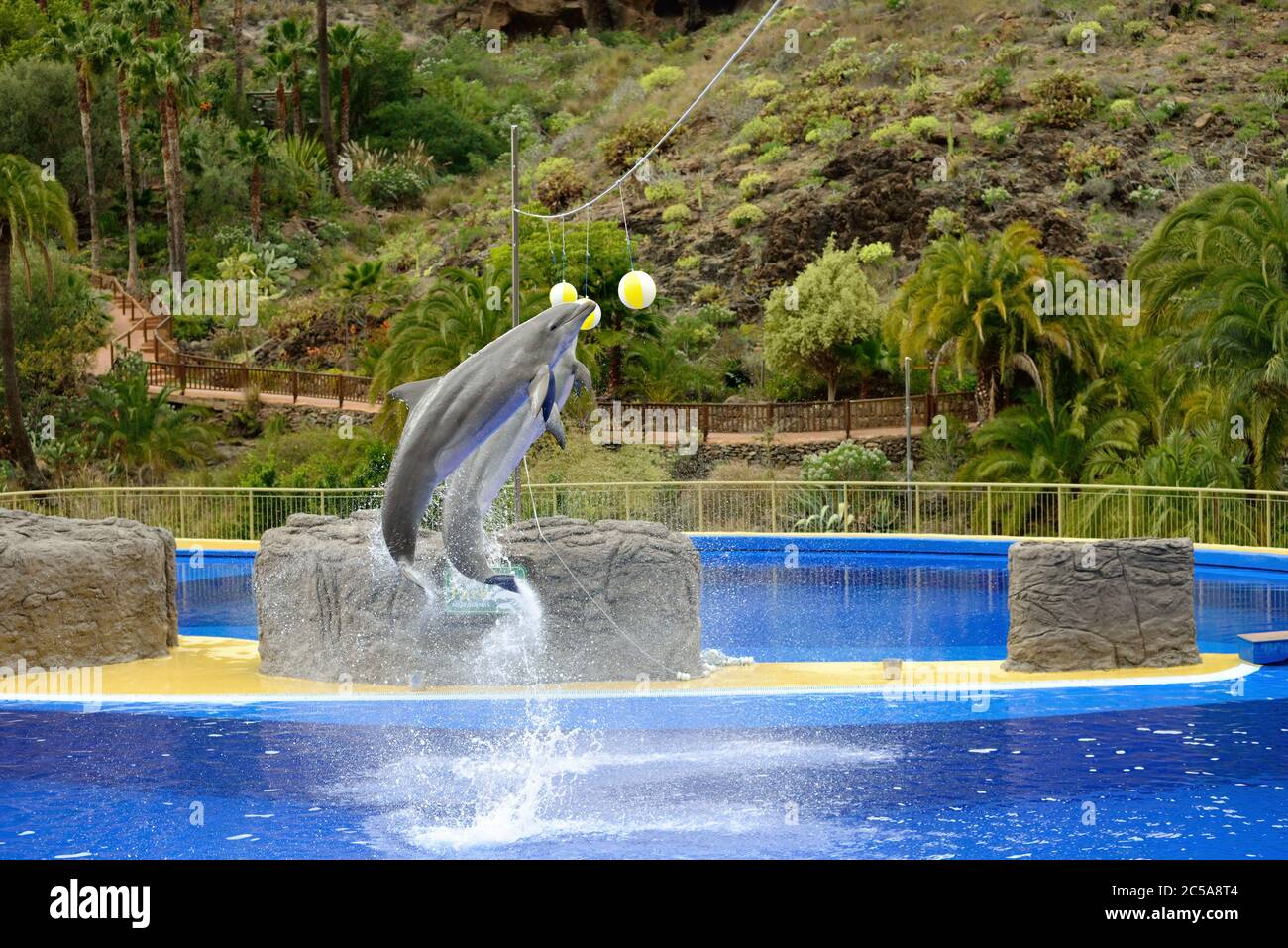 Dolphin tail stand hi-res stock photography and images - Alamy