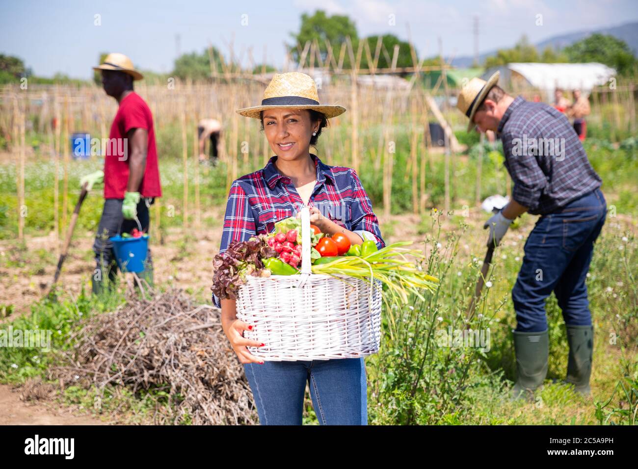 Happy latino farmer with basket of ripe vegetables in the garden Stock ...