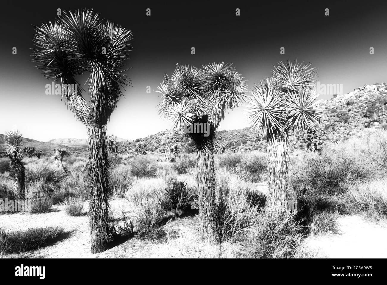 Blue keys Black and White Stock Photos & Images - Alamy
