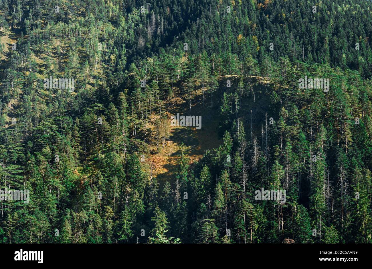 Konjuh Mountain in northeastern Bosnia,beautiful colorful scenery in ...