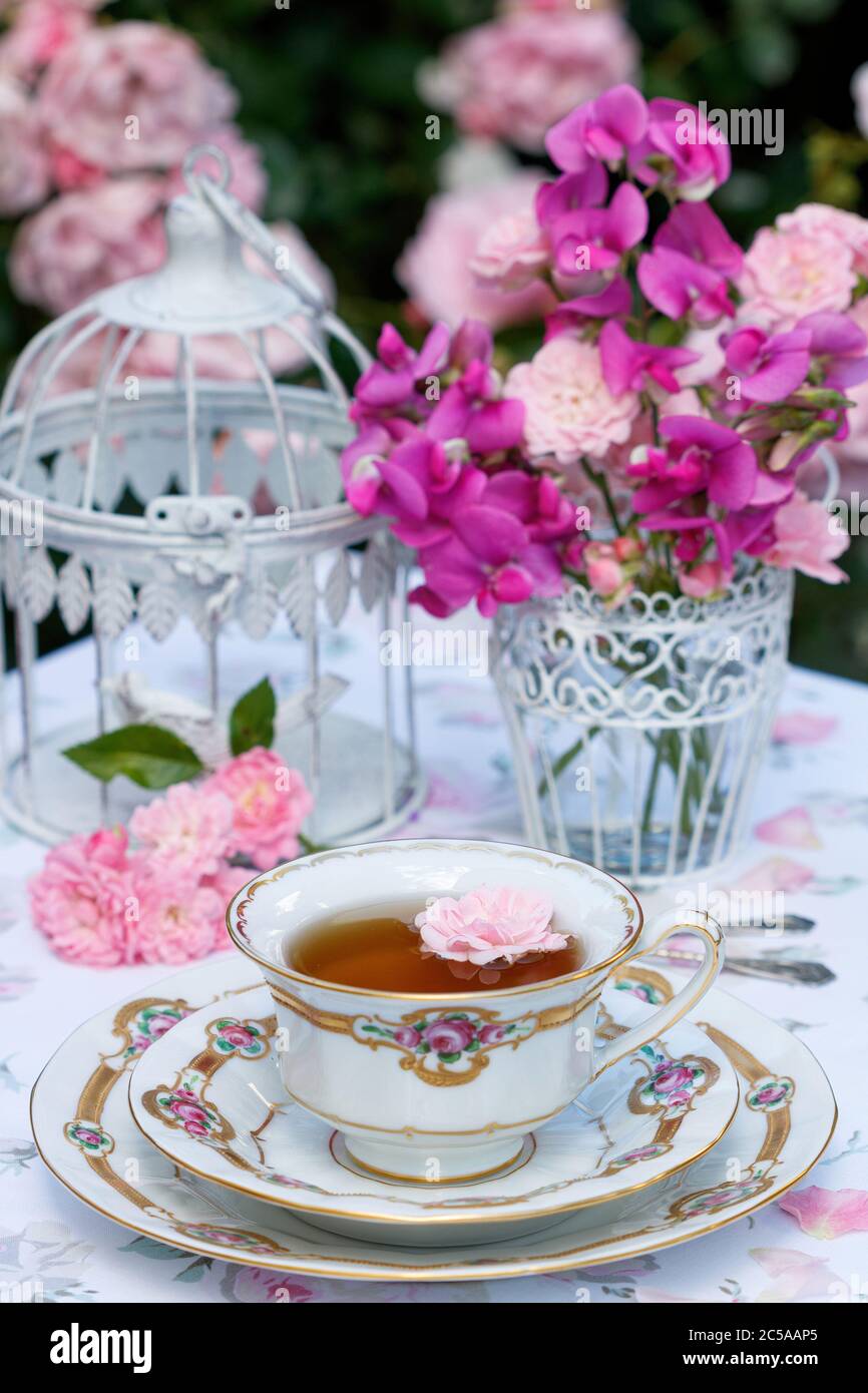 Vintage Tea Cups Photography