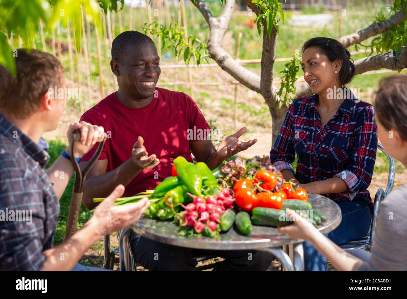 Good friends have conversation at table in the backyard of village ...