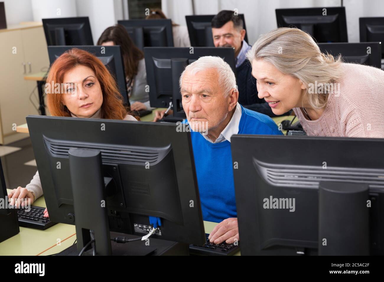 Group of cheerful modern elderly people working together on computer ...