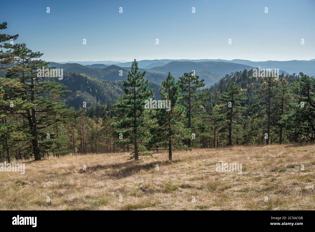 Konjuh Mountain in northeastern Bosnia,beautiful colorful scenery in ...