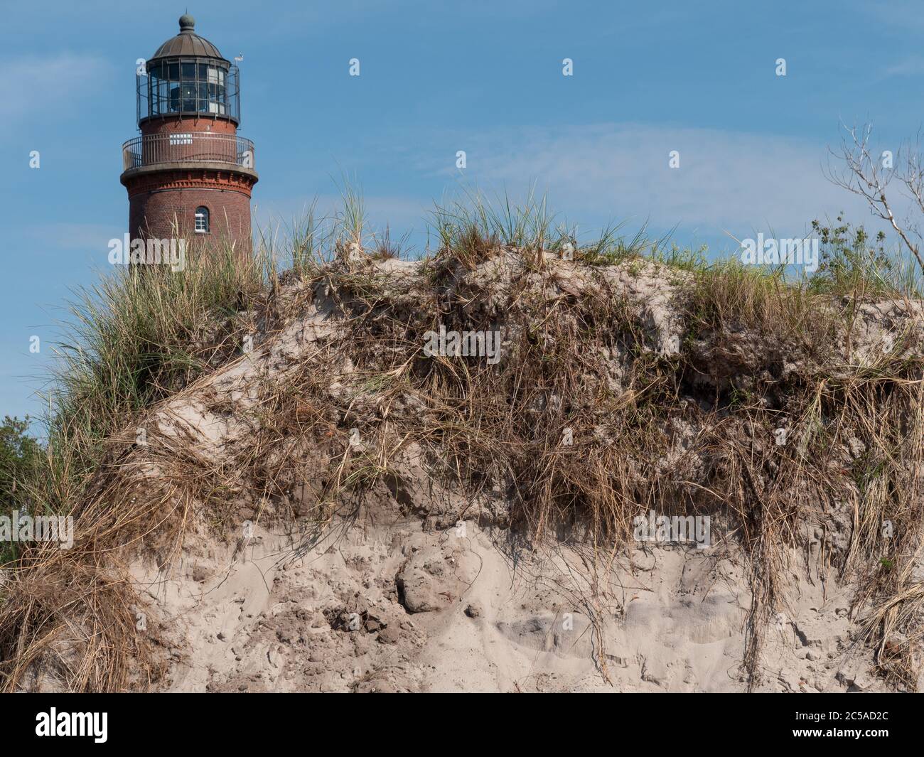 darss island in germany Stock Photo - Alamy