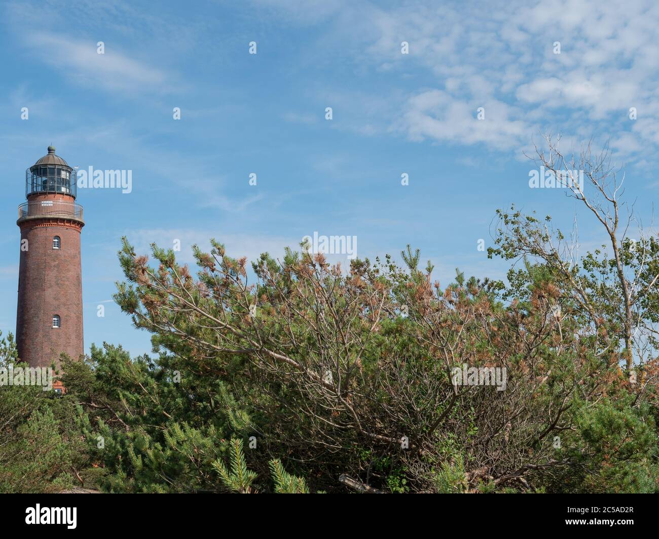 darss island in germany Stock Photo - Alamy