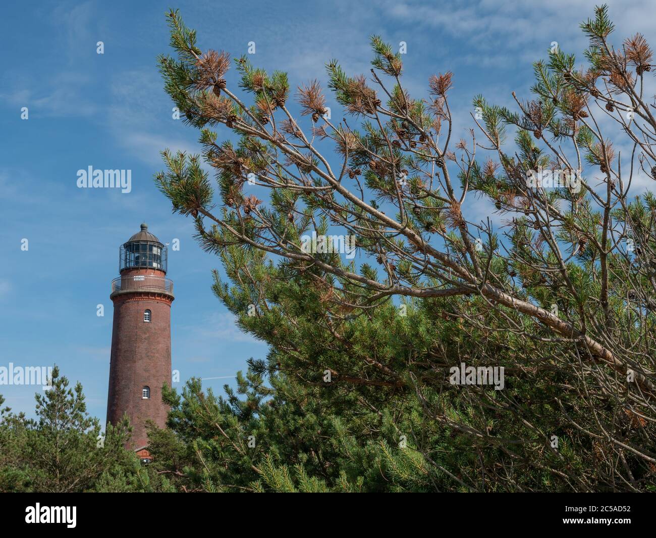 darss island in germany Stock Photo - Alamy