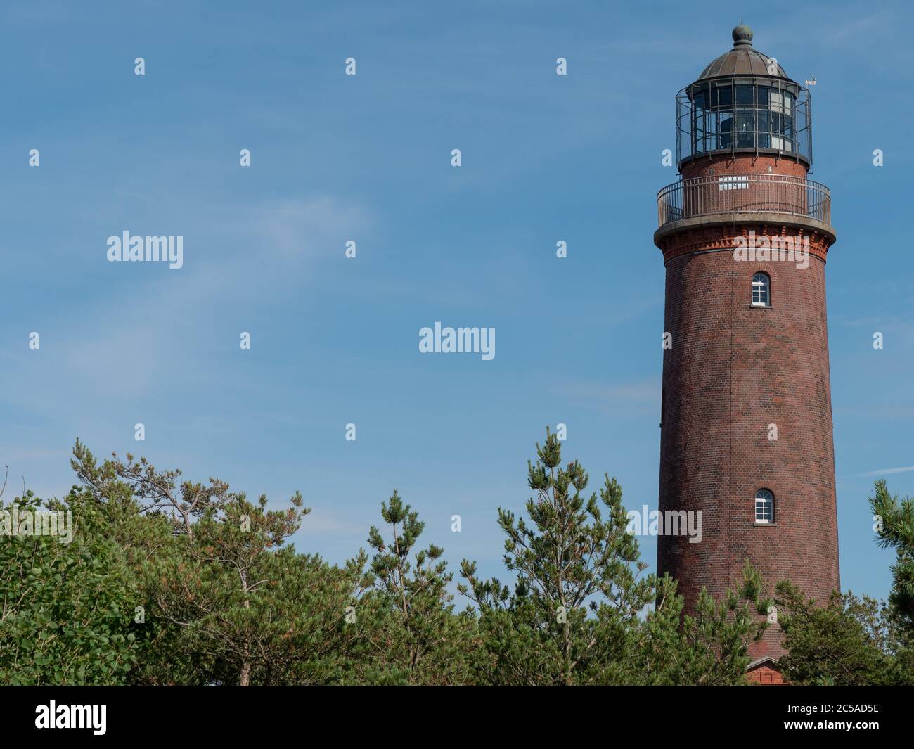 darss island in germany Stock Photo - Alamy