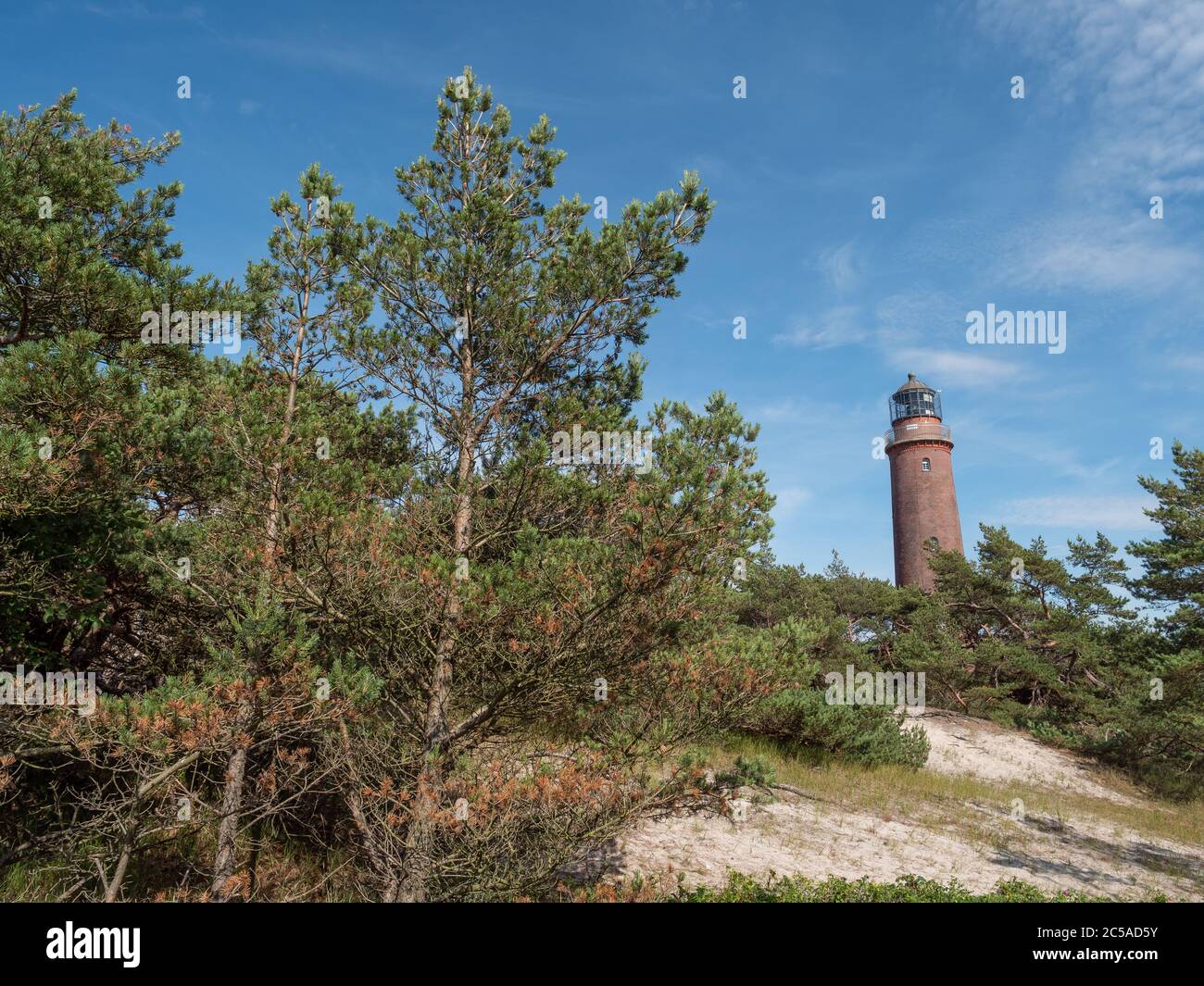 darss island in germany Stock Photo - Alamy