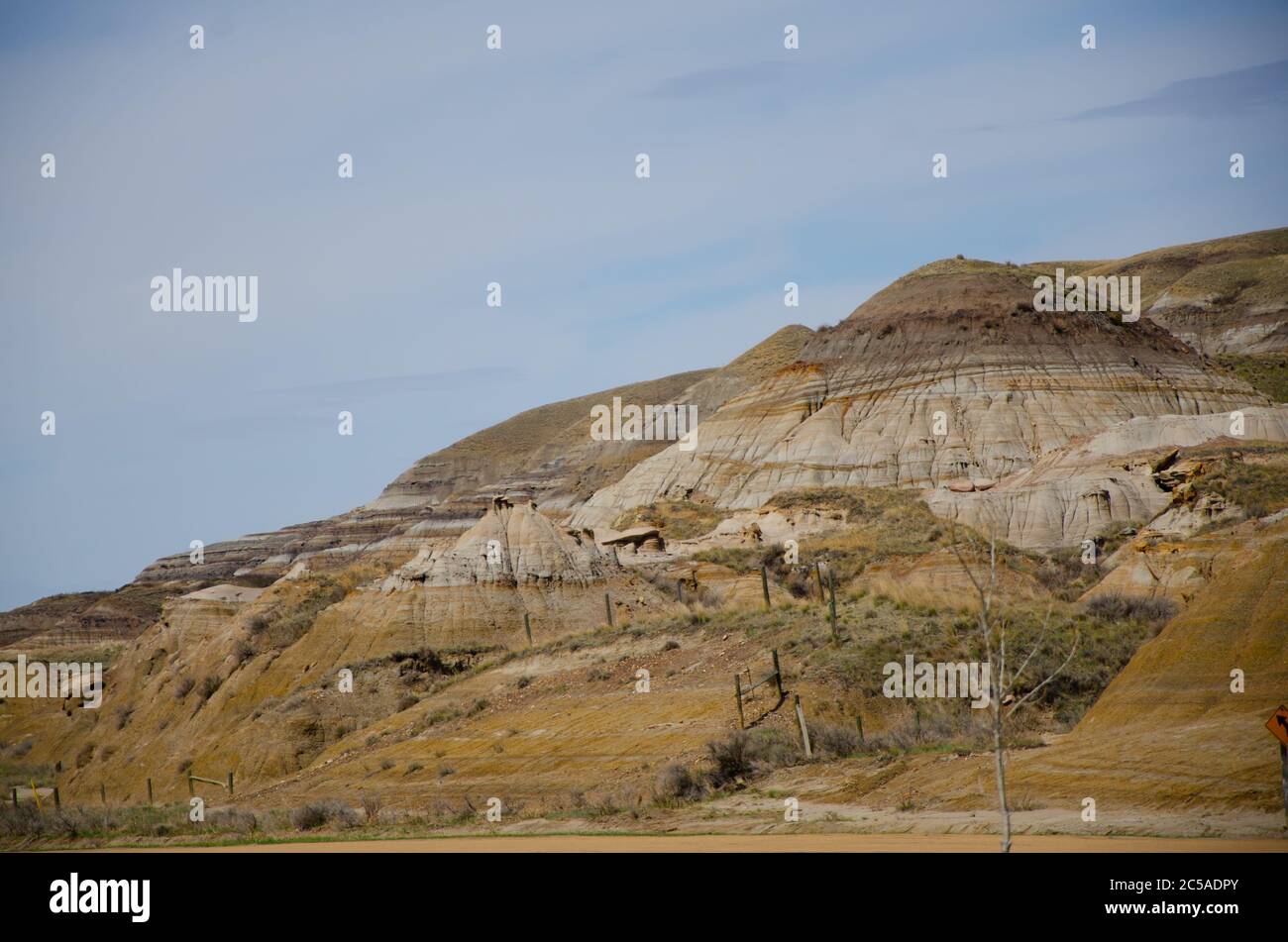 High hills covered in dry grass and dry trees gleaming under the blue ...