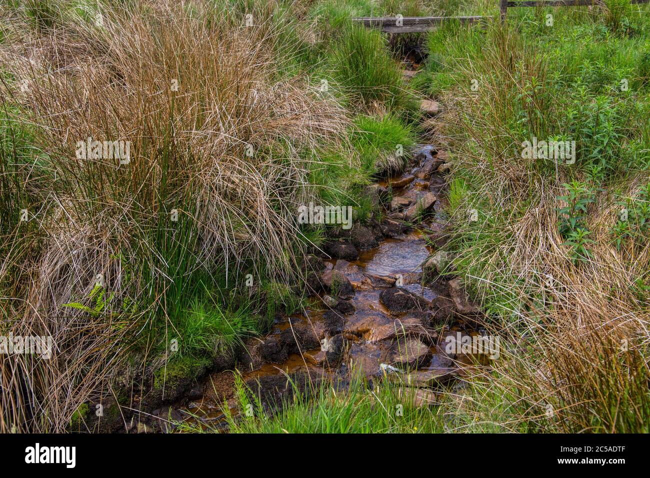Rivington Pike uk, June 2020 Stock Photo - Alamy