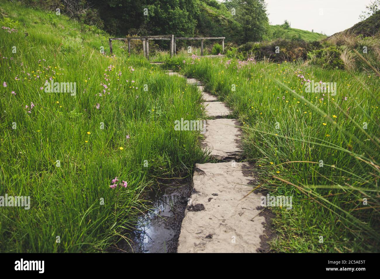 Rivington Pike uk, June 2020 Stock Photo - Alamy