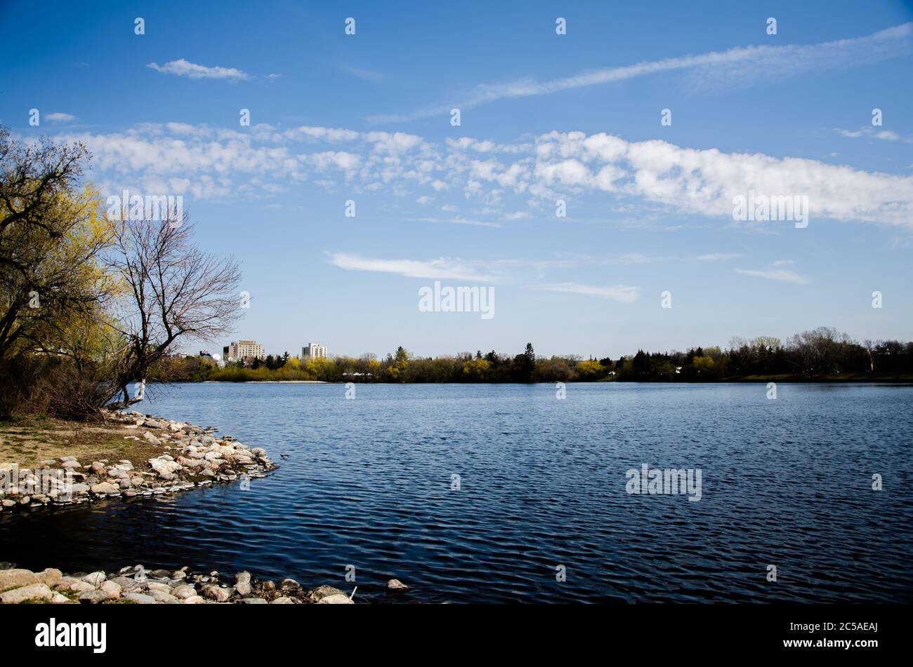 Calm river surrounded by trees gleaming under the blue sky Stock Photo ...